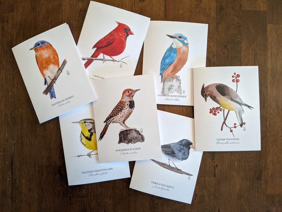 Bird Note Cards | Set of 7 | Bird Greeting Cards | Set of 7 Bird Note ...