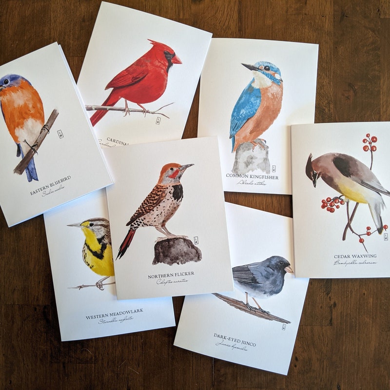 Bird Greeting Card - Etsy