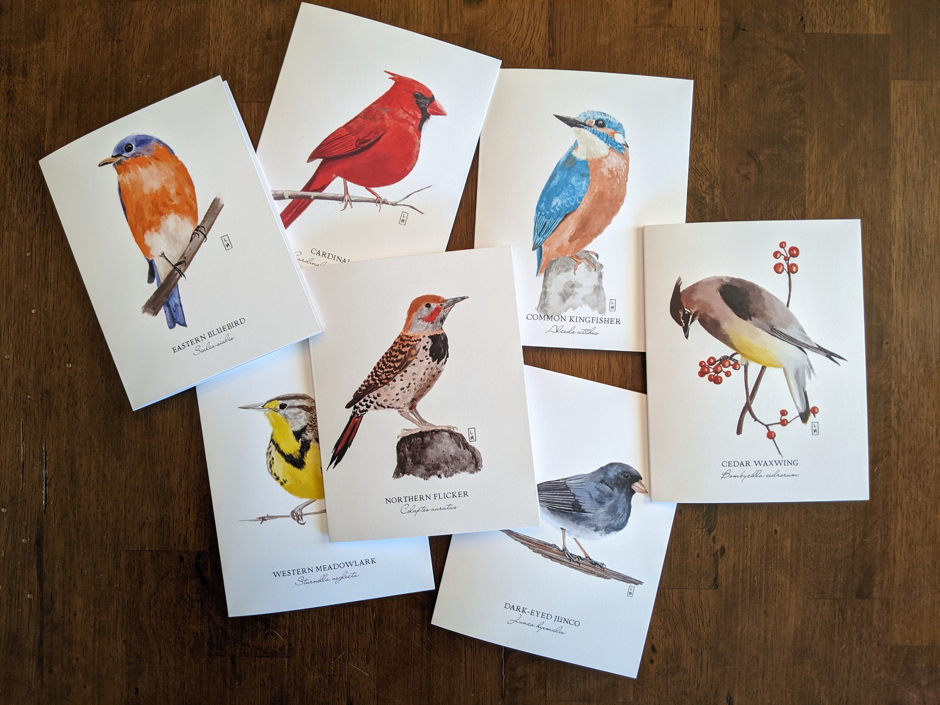 Bird Note Cards | Set of 7 | Bird Greeting Cards | Set of 7 Bird Note ...