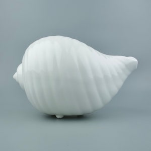 Wedgwood White Lustre Ceramic Conch Shell Bowl Nautilus Collection ...