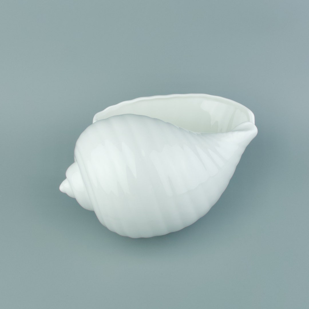 SHELL BOWL Wedgwood Conch Shell Bowl Nautilus Collection 1960s Large ...