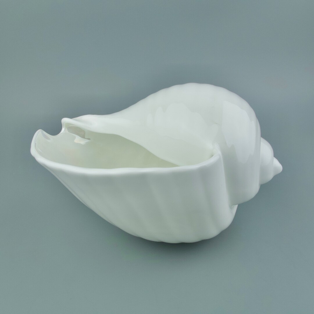 Wedgwood White Lustre Ceramic Conch Shell Bowl Nautilus Collection ...