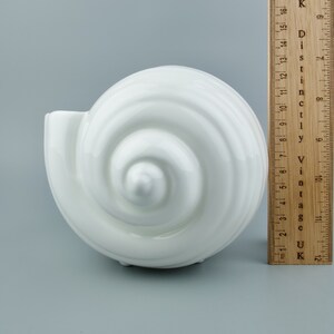 Wedgwood White Lustre Ceramic Conch Shell Bowl Nautilus Collection ...