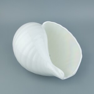 Wedgwood White Lustre Ceramic Conch Shell Bowl Nautilus Collection ...