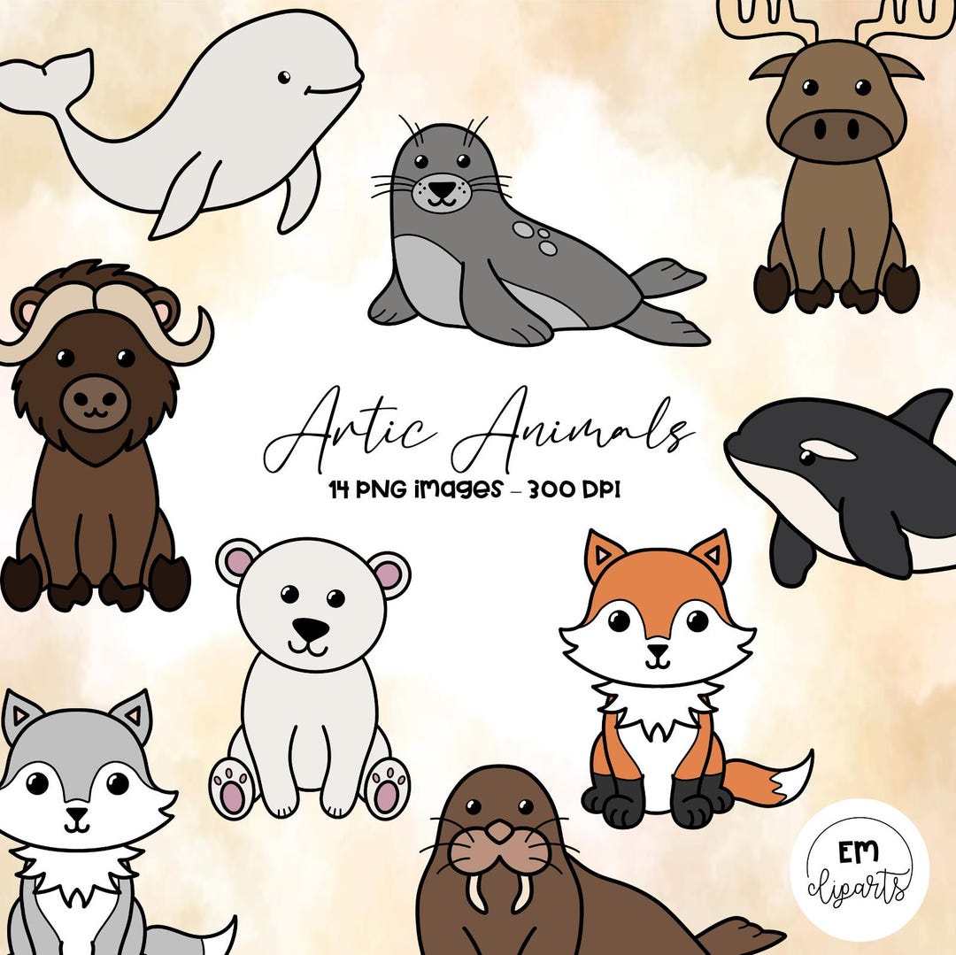 Arctic Animals Clipart Set - Etsy