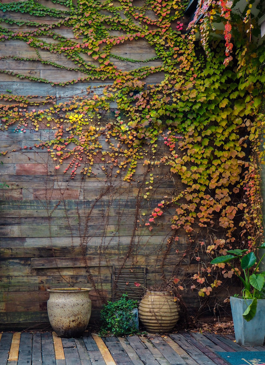 Business Backdrop Photo - Etsy