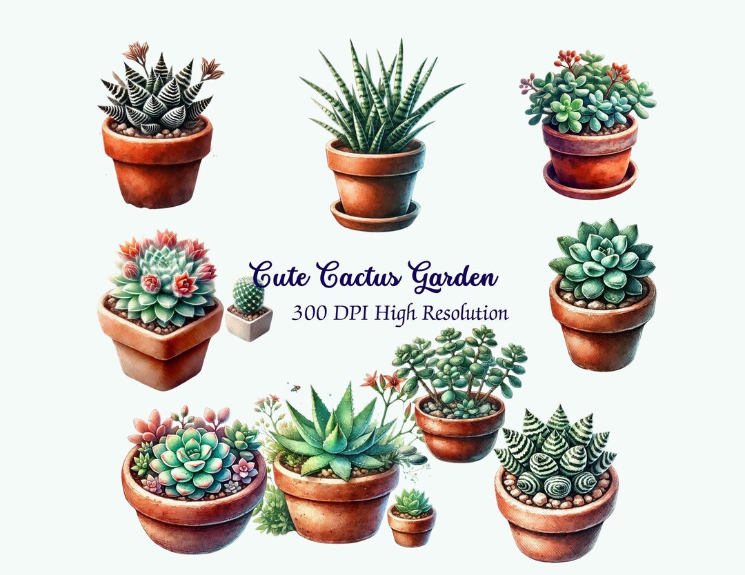 Miniature Potted Cactus Collection Digital Clip Art, Succulent ...