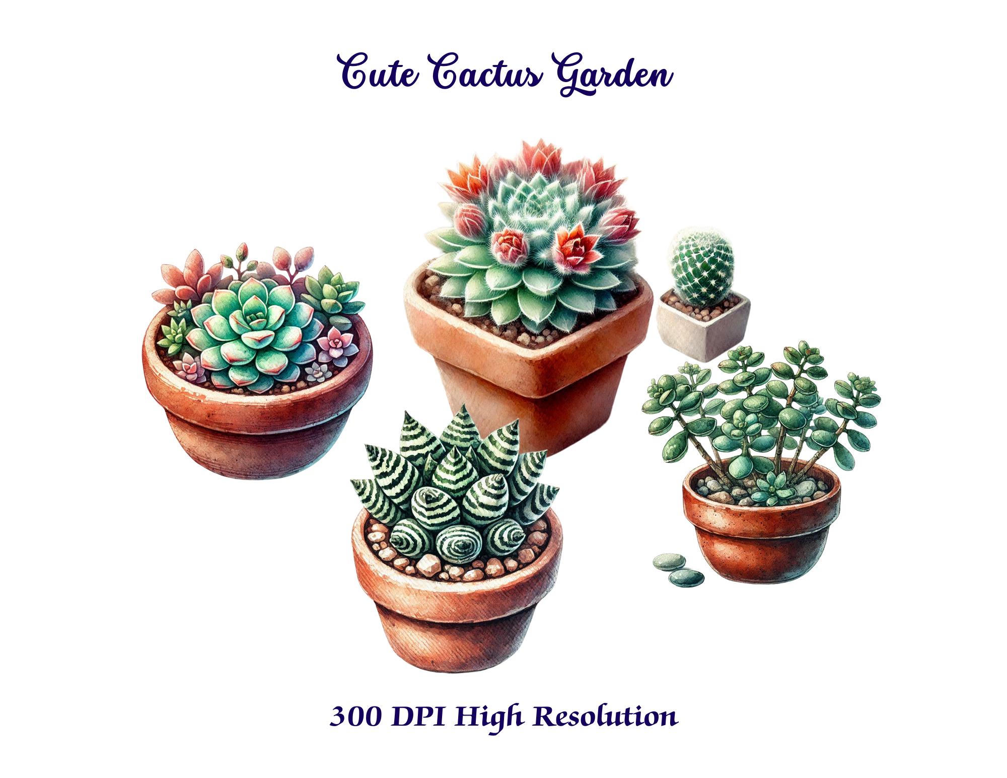 Miniature Potted Cactus Collection Digital Clip Art, Succulent ...