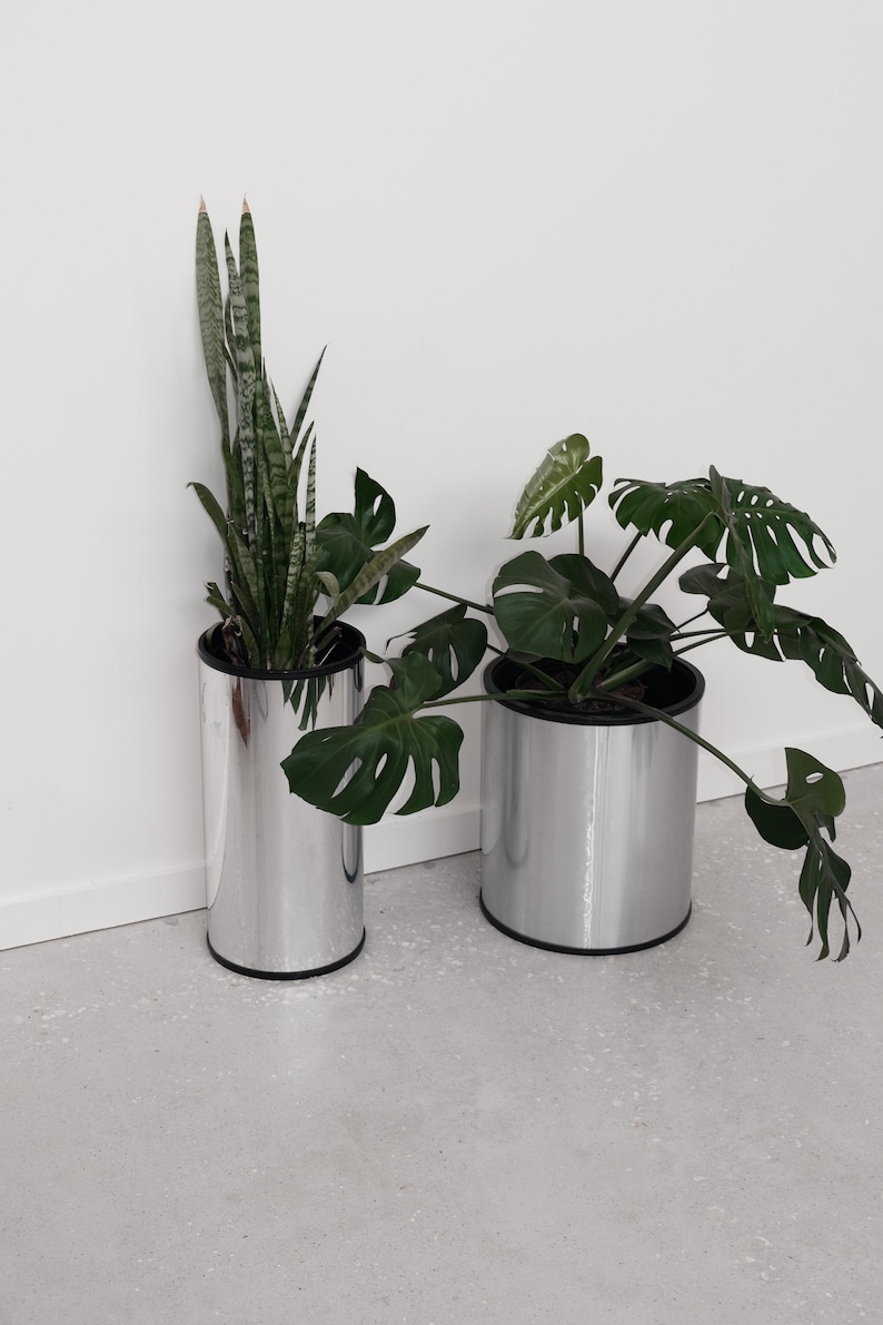Chrome Cylinder Planter - Etsy