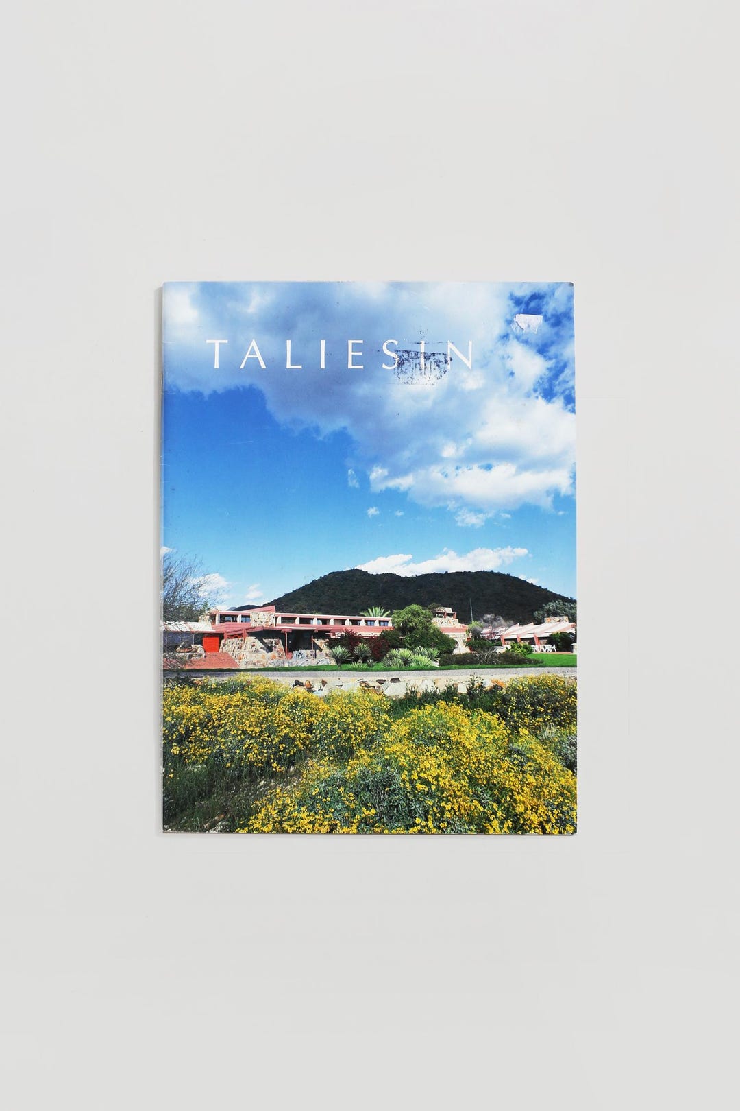 Taliesin Book - Etsy