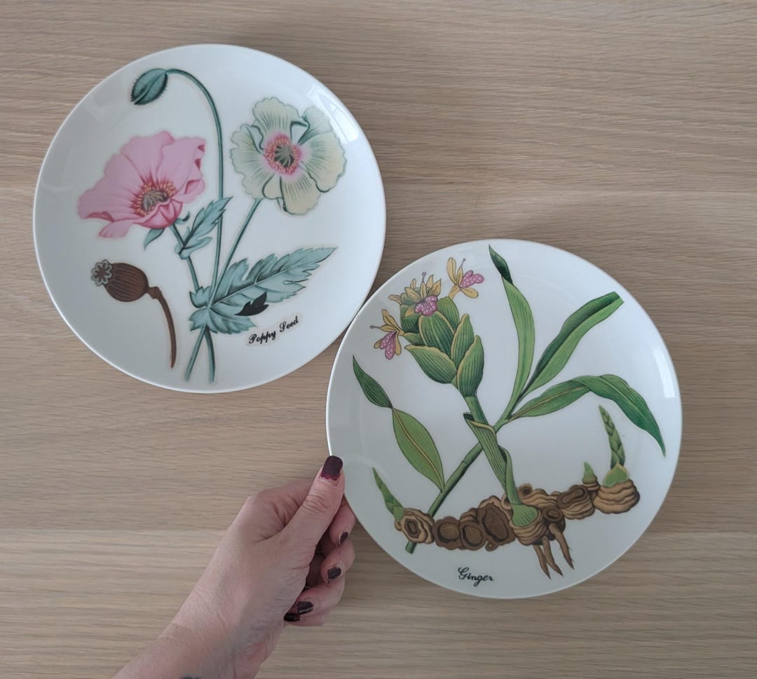 Vintage MCM Botanical Herb Plates by Stafford, Ginger and Poppyseed ...