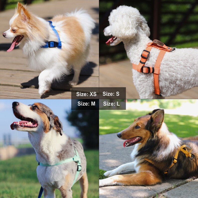 Lof Training Dog Harness With Handle Designed to Fit Dogs - Etsy