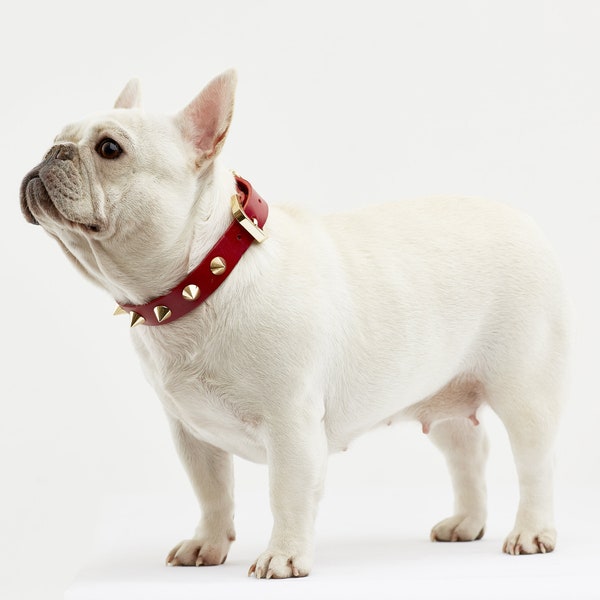 Pink Spiked Collar Dogs - Etsy