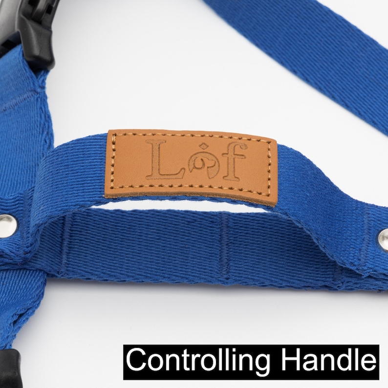 Lof Dog No Pull H-type Harness With Handle Designed to Fit - Etsy