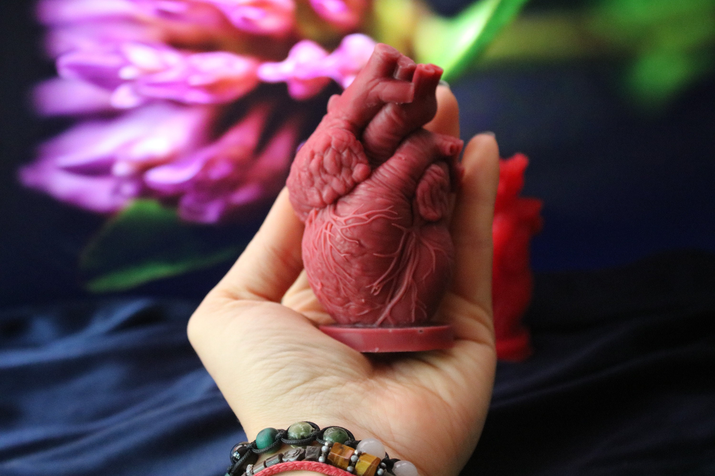 Human Heart Anatomical 3D Silicone Mold Concrete Soap - Etsy