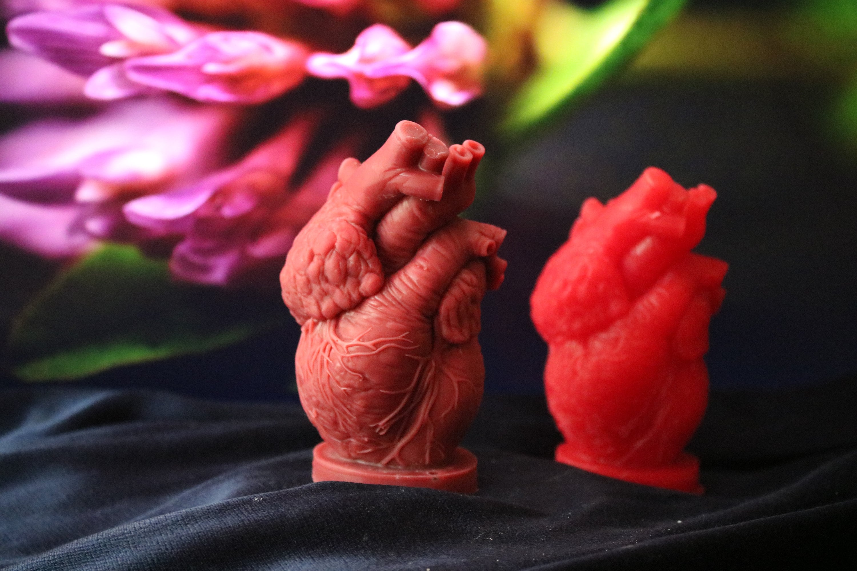 Human Heart Anatomical 3D Silicone Mold Concrete Soap - Etsy