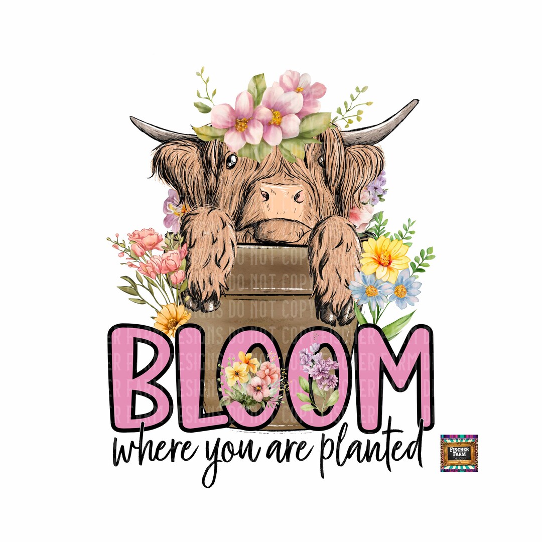 Bloom Where You Are Planted Long Haired Cow Farm Barn Cow - Etsy
