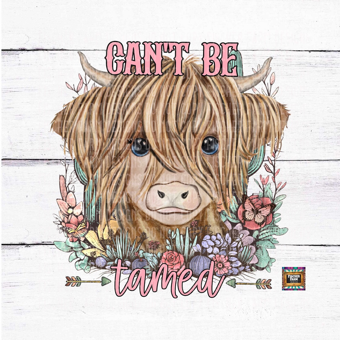 Can't Be Tamed Cow, Heifer, Long Haired Cow, Farm, Barn, Cow, Cowhide ...
