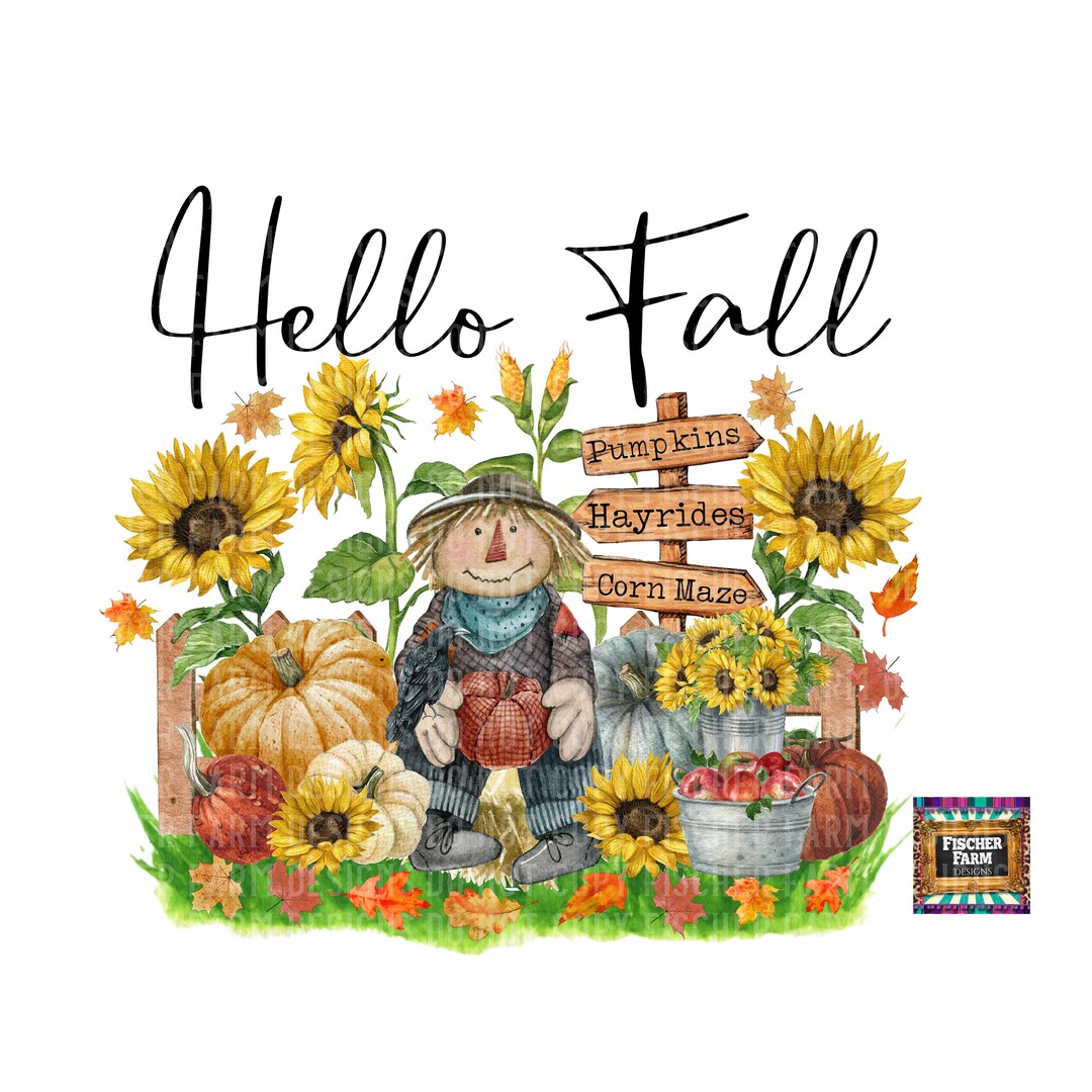 Scarecrow, Hello Fall Pumpkin, Patch, Leaves, Corn Maze, Sunflowers ...