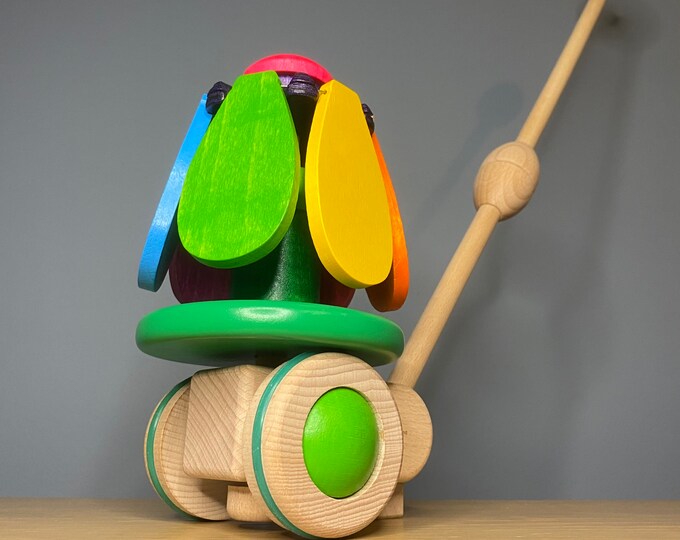 Wooden Push Along Toy Rainbow Flower Traditional Toy Wooden - Etsy