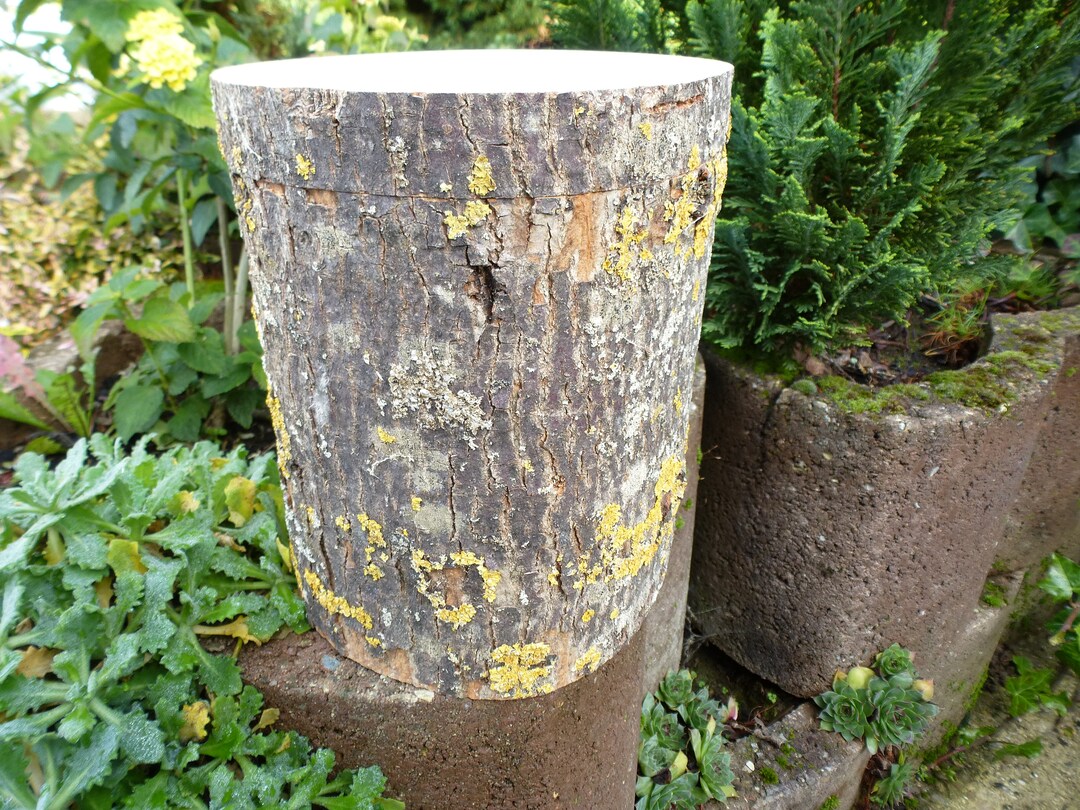 Children's Urn 1.4L Tree Urn Natural Urn or Animal Urn Organic - Etsy