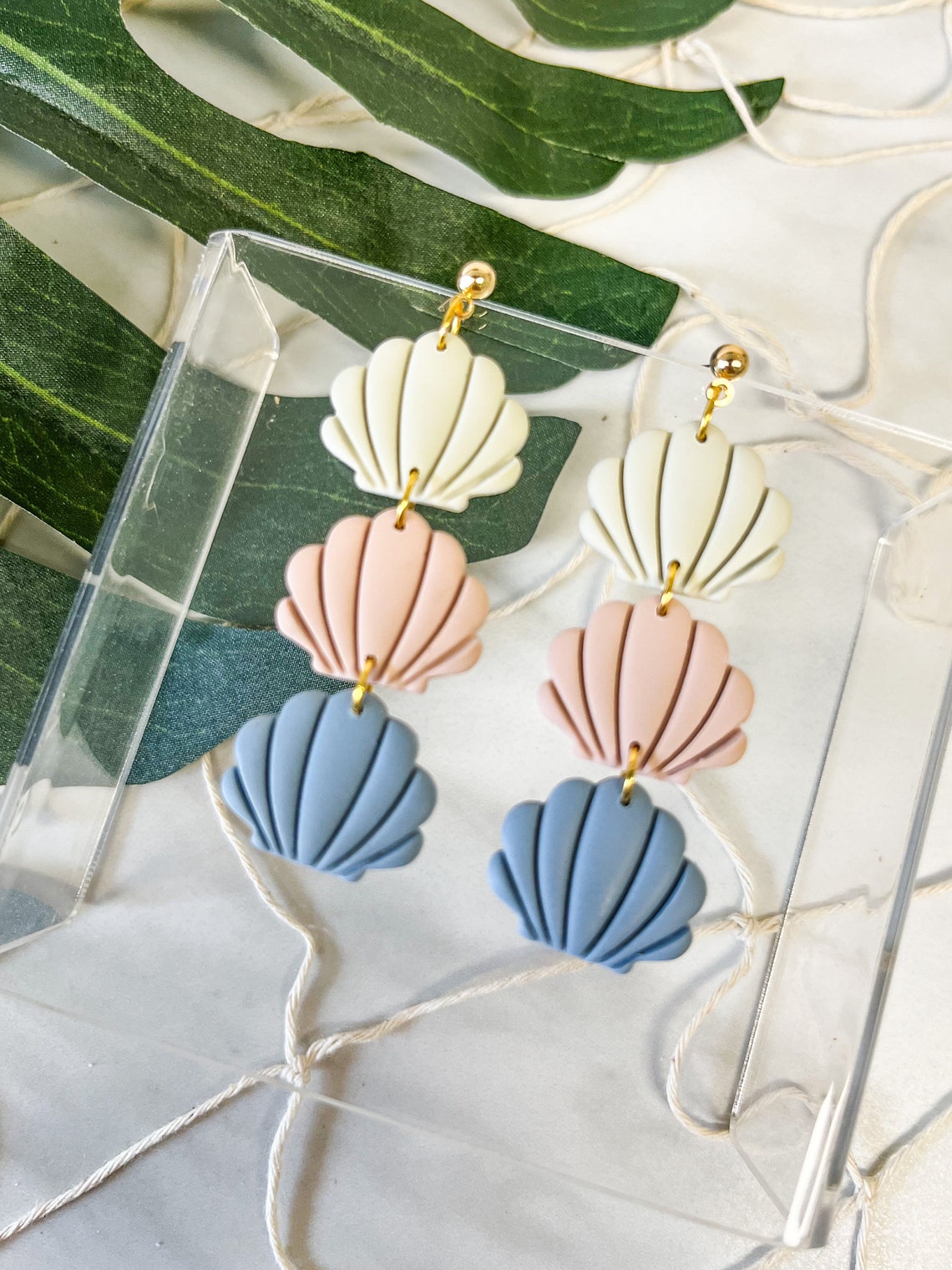 Tri-colored Seashells - Etsy