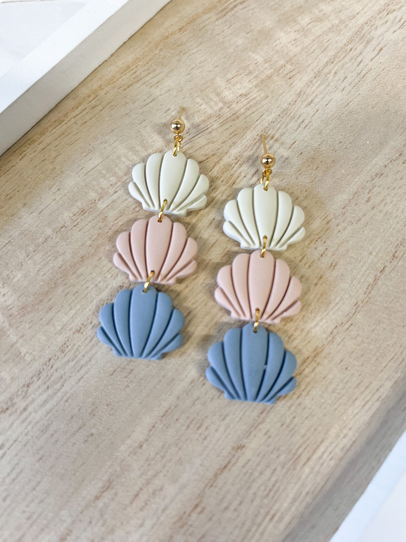 Tri-colored Seashells - Etsy