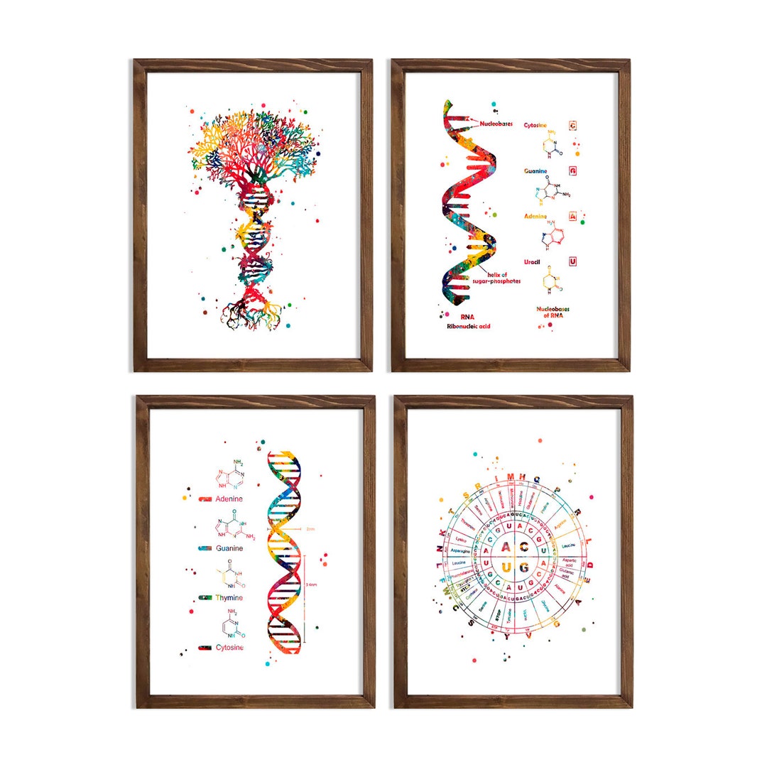 DNA Genetic Code Watercolor Poster Set Dna Tree Office Decor Science ...