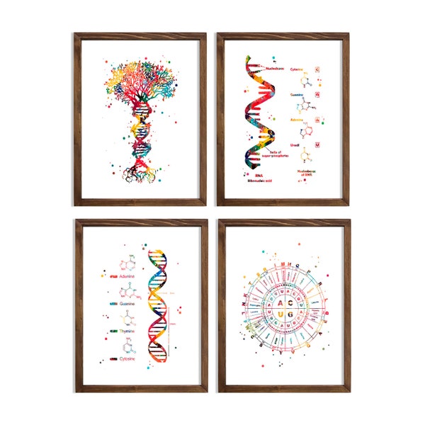 Biology Poster - Etsy