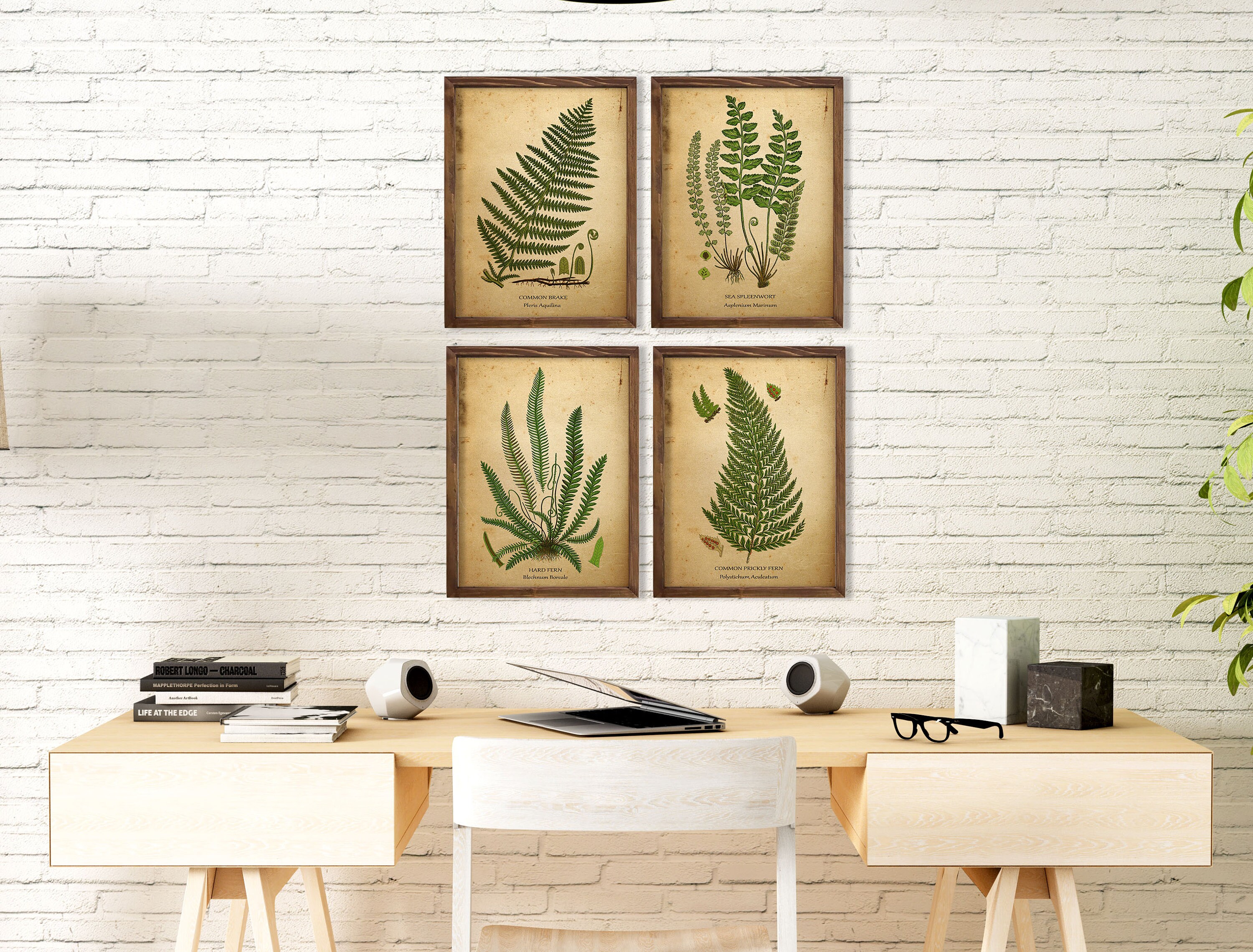 Vintage Fern Poster Set Green Fern Leaf Botanical Art Antique Fern ...