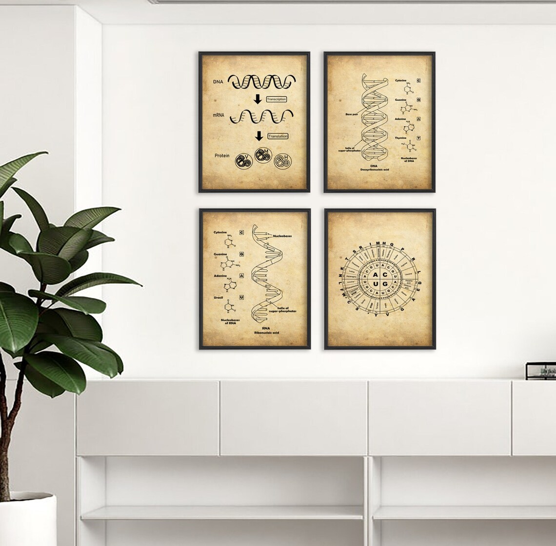 Vintage DNA and RNA Genetic Code Set Dna Wall Decor Rna Art - Etsy