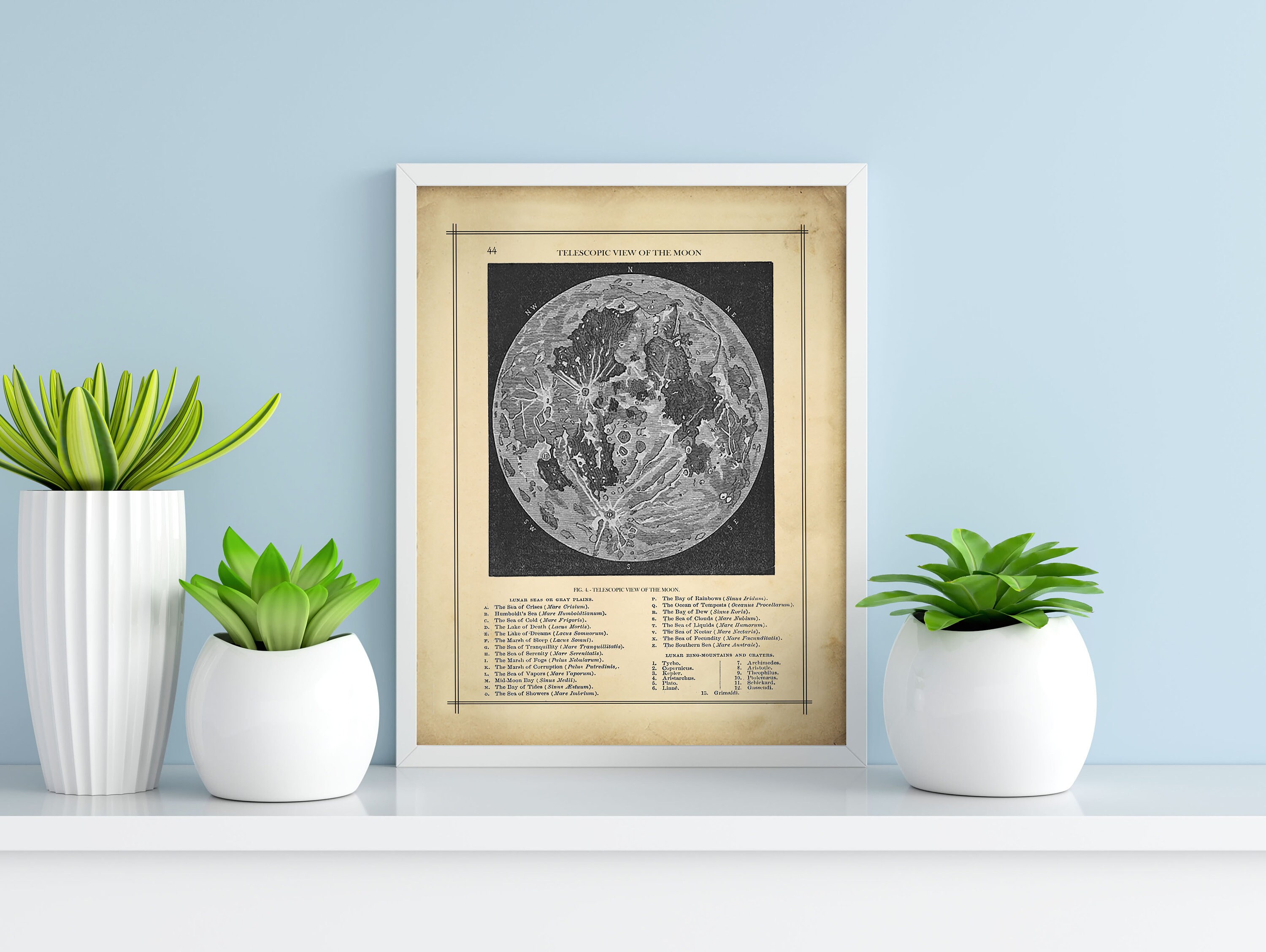 Vintage Full Moon Map Reproduction Print Lunar Astronomy Wall Decor the ...