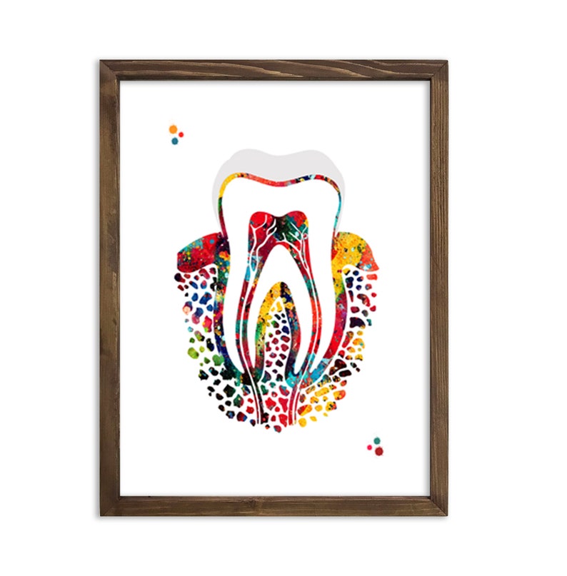 Dental Watercolor Art Print Set Tooth Chart Dental Clinic - Etsy
