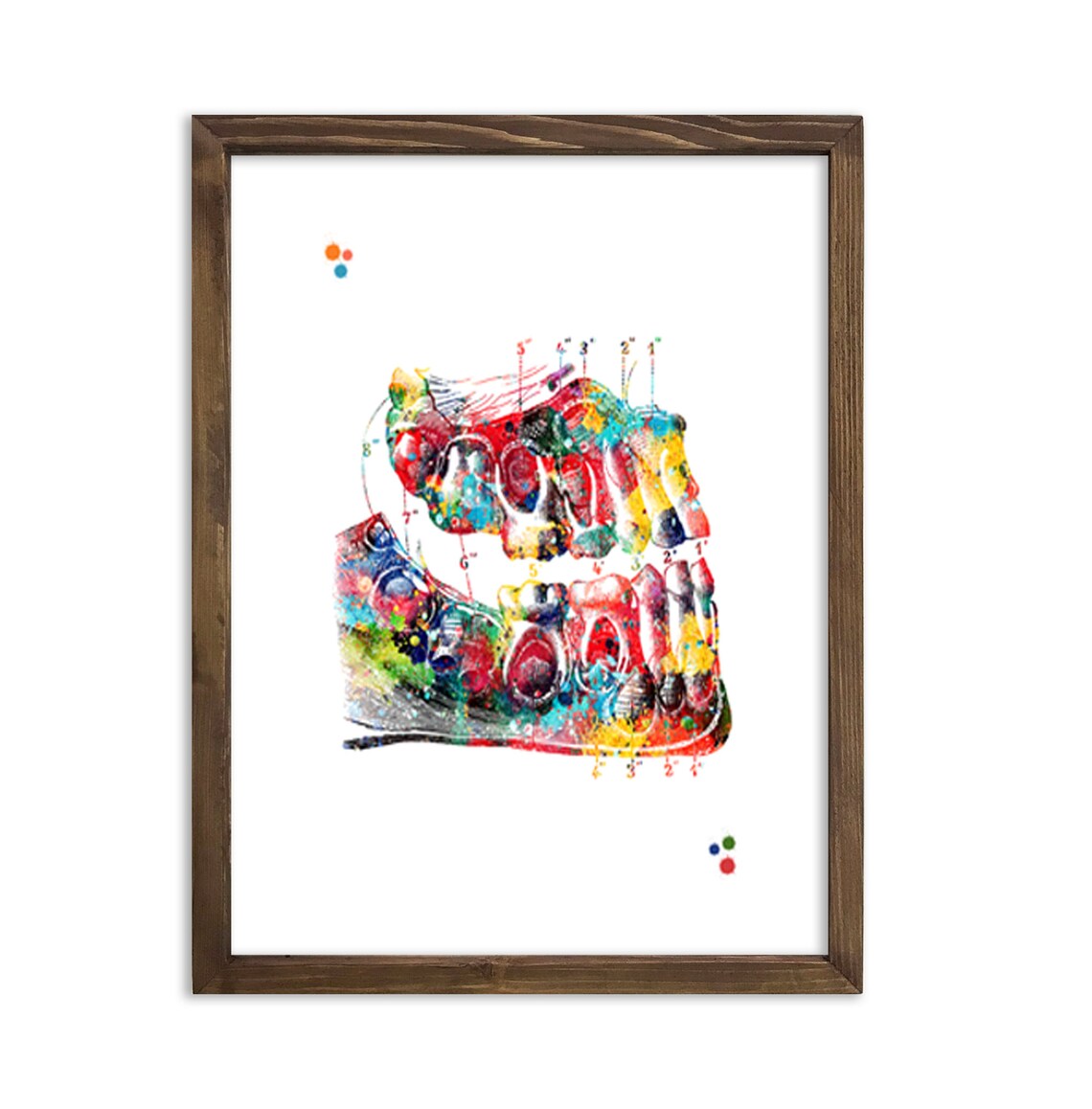 Dental Watercolor Art Print Set Tooth Chart Dental Clinic - Etsy