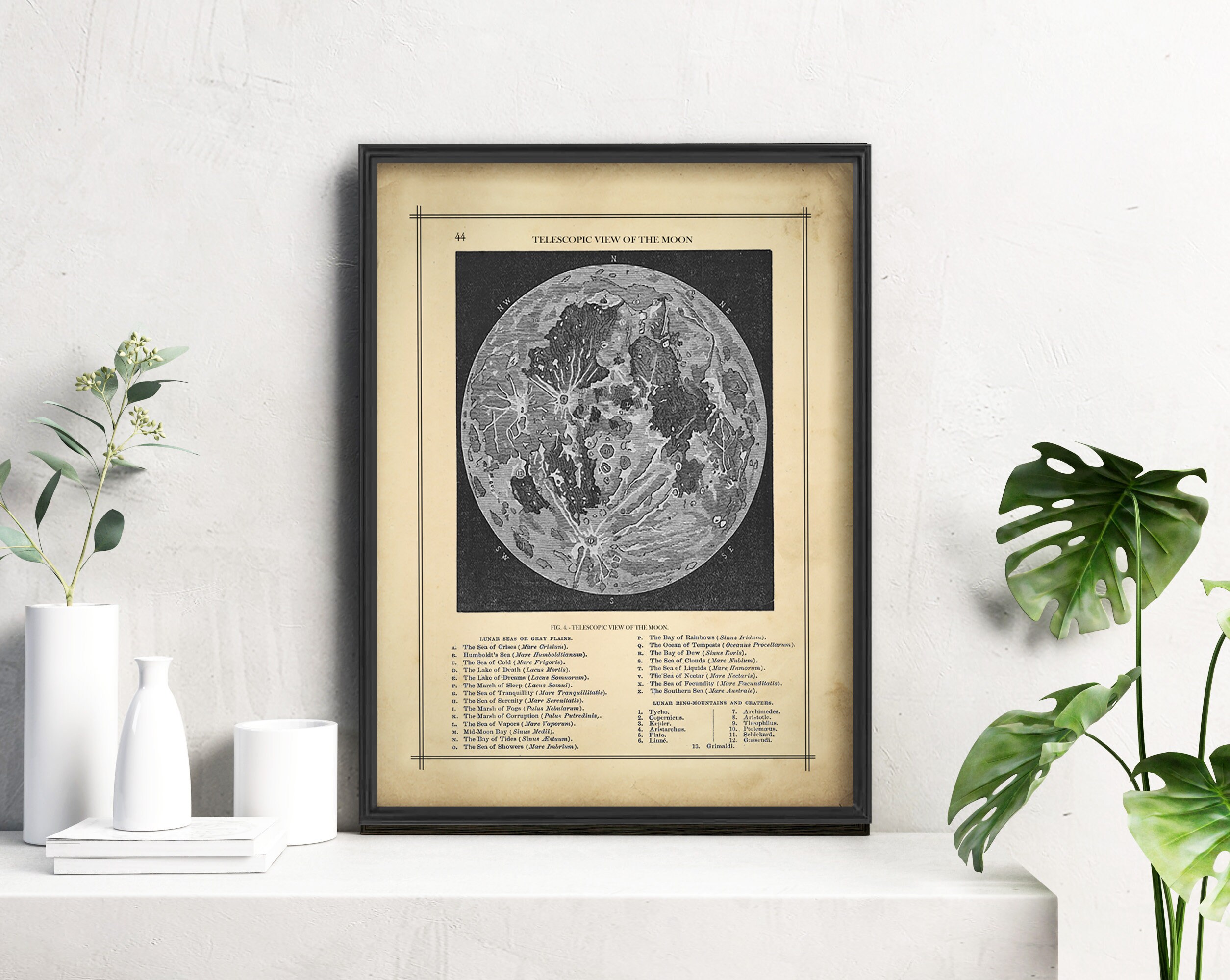 Vintage Full Moon Map Reproduction Print Lunar Astronomy Wall Decor the ...