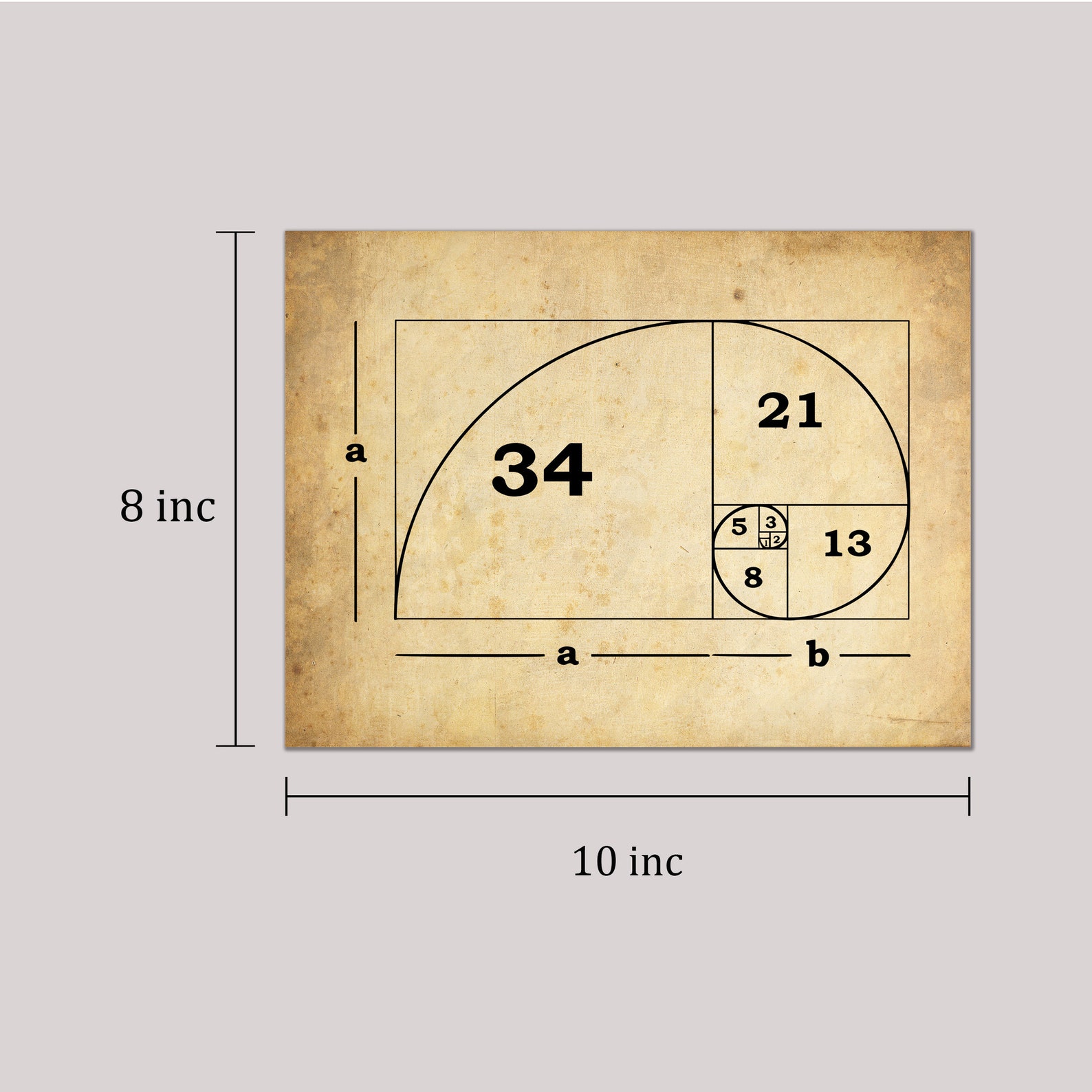 Vintage Fibonacci Sequence Watercolor Art Fibonacci Spiral Art