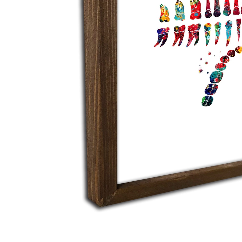 Dental Watercolor Art Print Set Tooth Chart Dental Clinic - Etsy