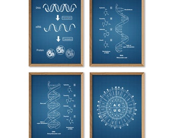 Dna Rna Poster - Etsy