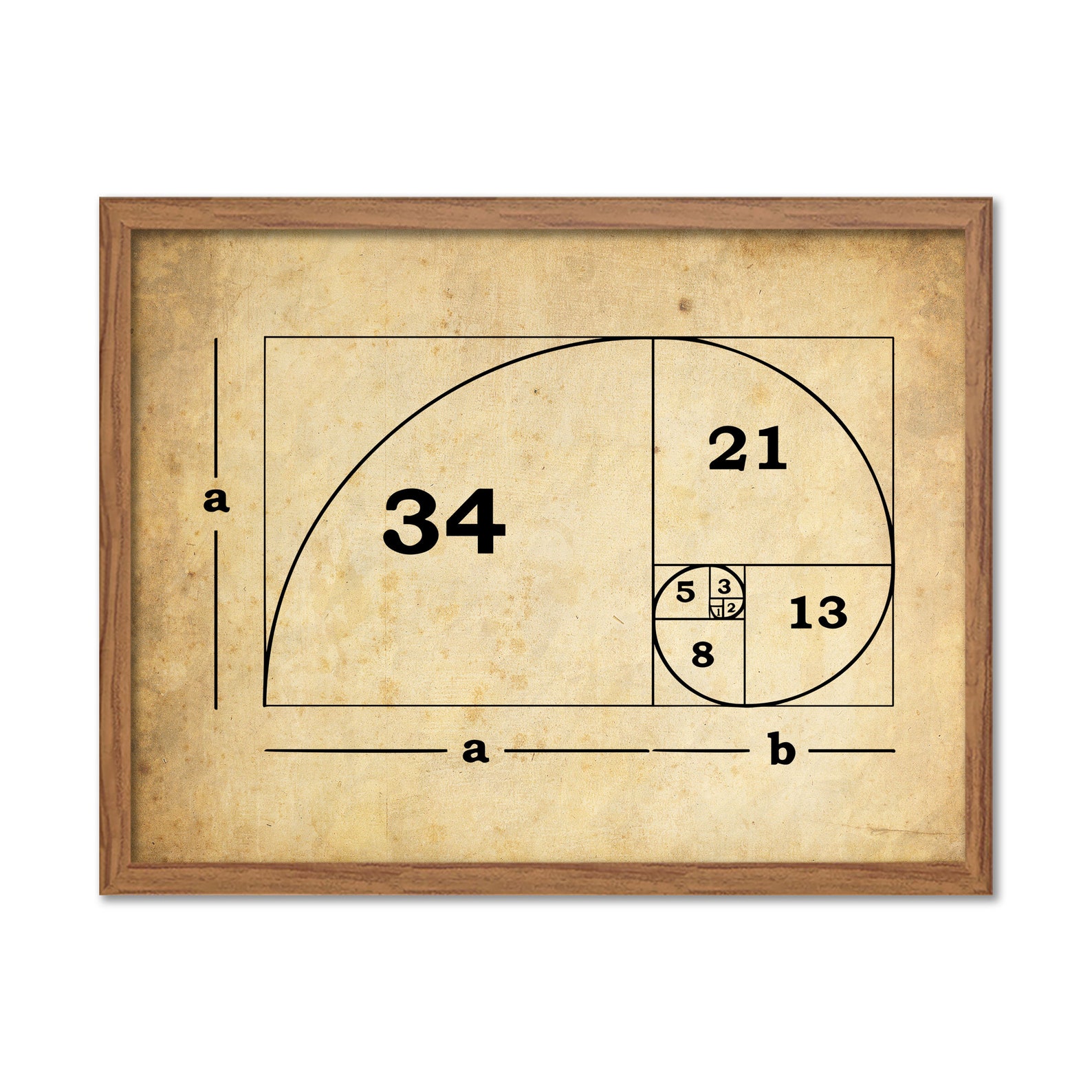 Vintage Fibonacci Sequence Watercolor Art Fibonacci Spiral Art ...