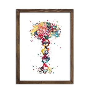 DNA Genetic Code Watercolor Poster Set Dna Tree Office Decor Science ...
