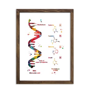 DNA Genetic Code Watercolor Poster Set Dna Tree Office Decor Science ...
