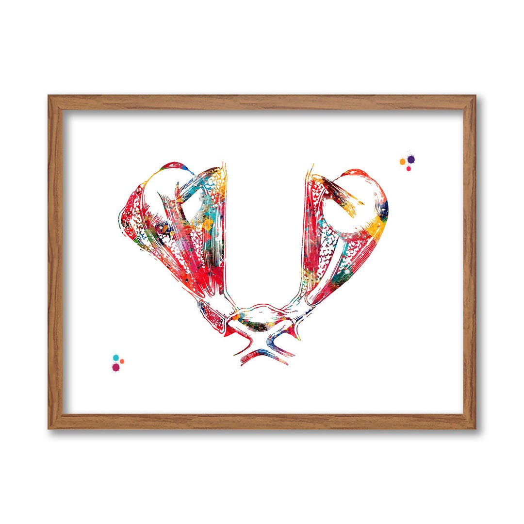 Optic Chiasm and Eye Muscles Watercolor Poster Art Print Human Eye ...