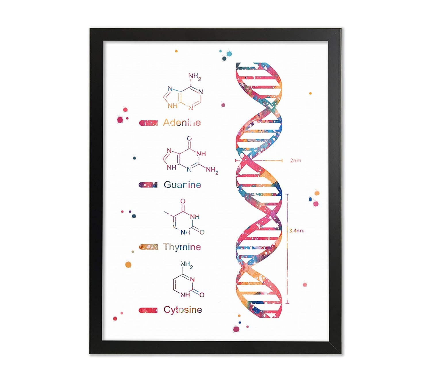 Framed DNA Genetic Code Watercolor Poster Set Dna Tree Office | Etsy
