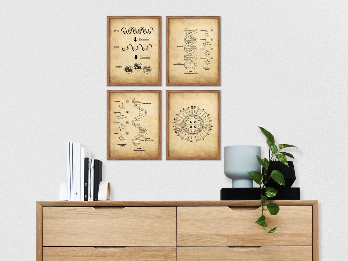 Vintage DNA and RNA Genetic Code Set Dna Wall Decor Rna Art - Etsy