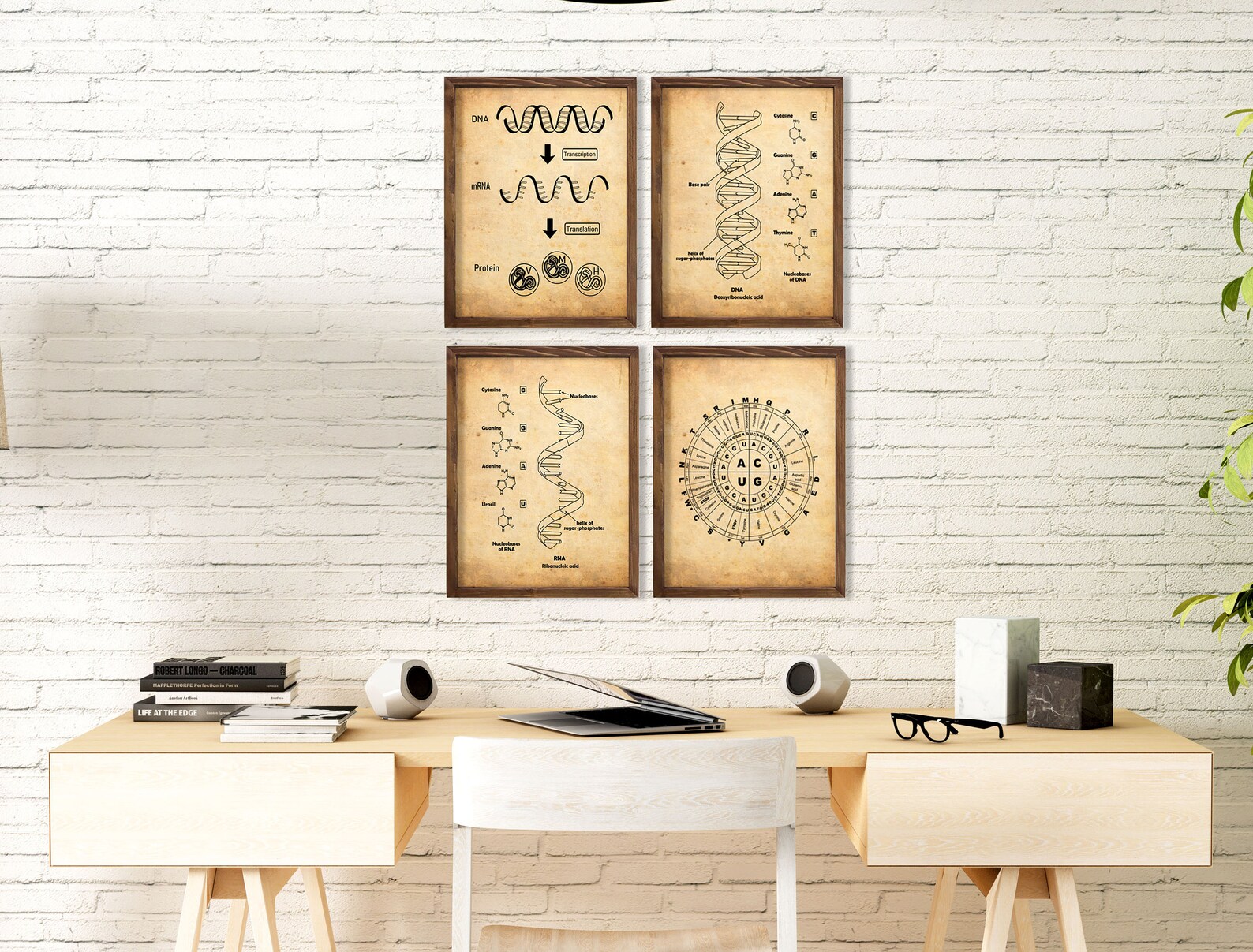 Vintage DNA and RNA Genetic Code Set Dna Wall Decor Rna Art Science ...