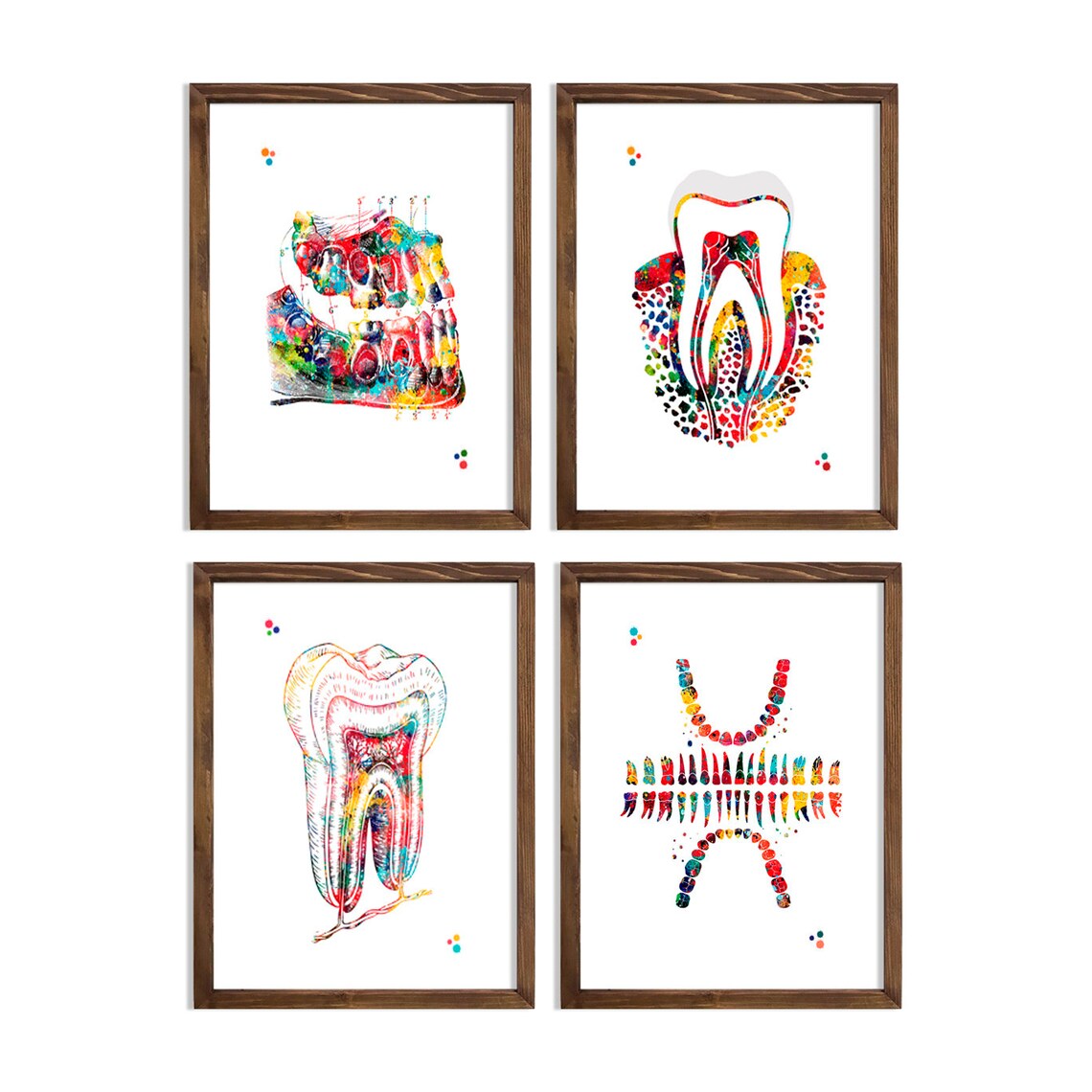 Dental Watercolor Art Print Set Tooth Chart Dental Clinic - Etsy