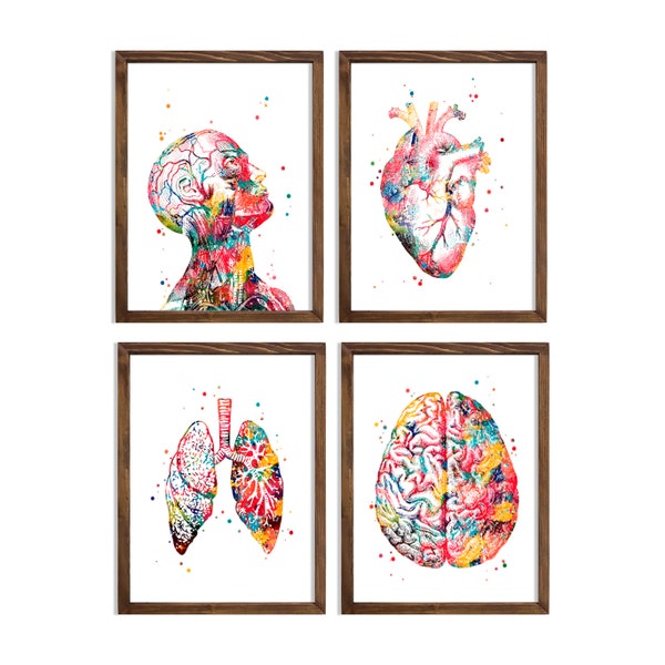 Medical Art - Etsy