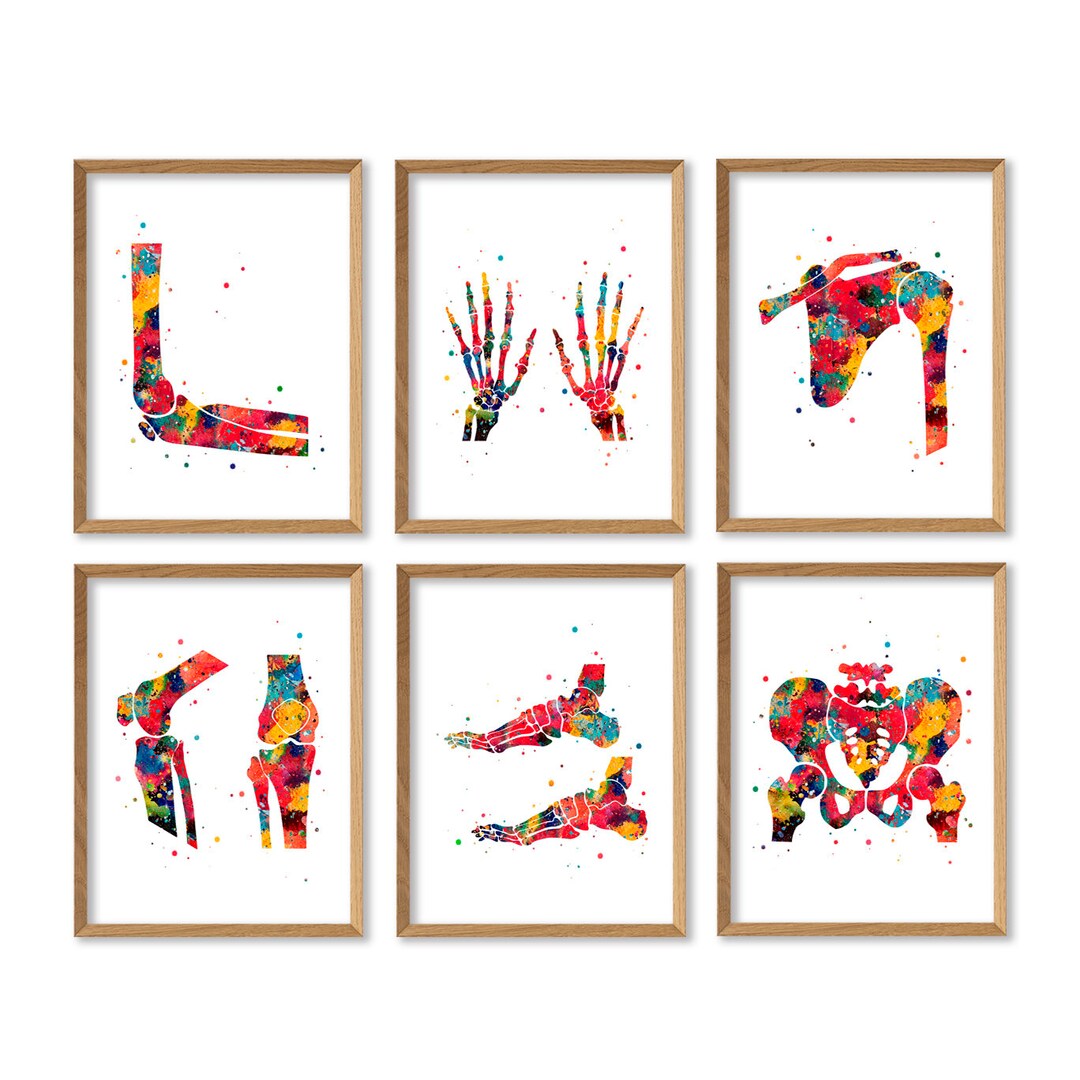 Human Bones Anatomy Watercolor Print Set Skeletal System Art Skeleton ...
