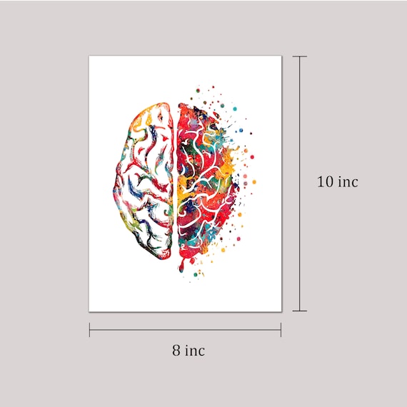 Creative Side Of The Brain