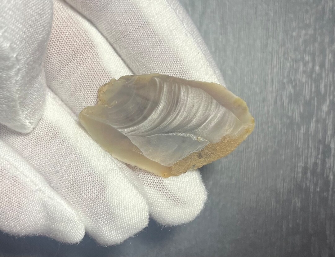 Neolithic Stone Age Flint Scraper Tool 4500-2500 BC, Found in Essex ...